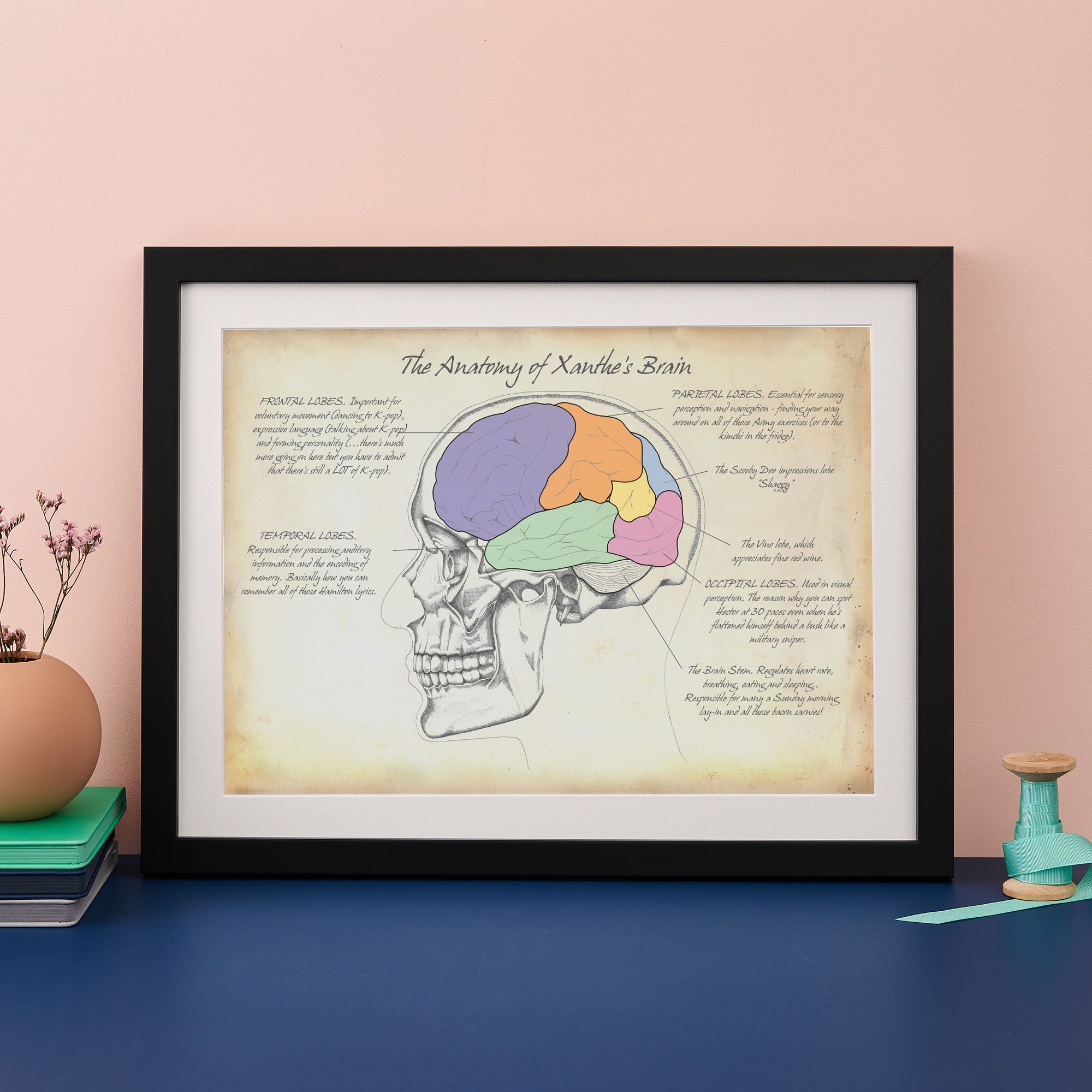 Personalised Brain Anatomy Print by Betsy Benn